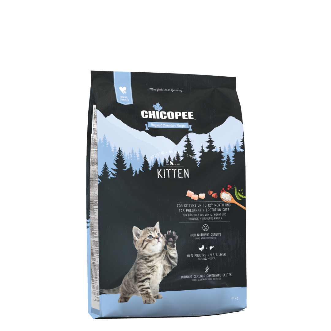 Cat – Chicopee