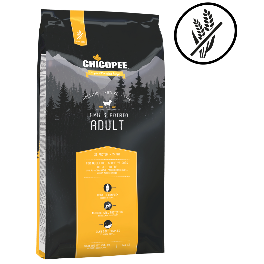 Hund – Chicopee